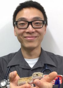 Dr Allen Yang - Pet Doctors St Lukes & Exotics Centre